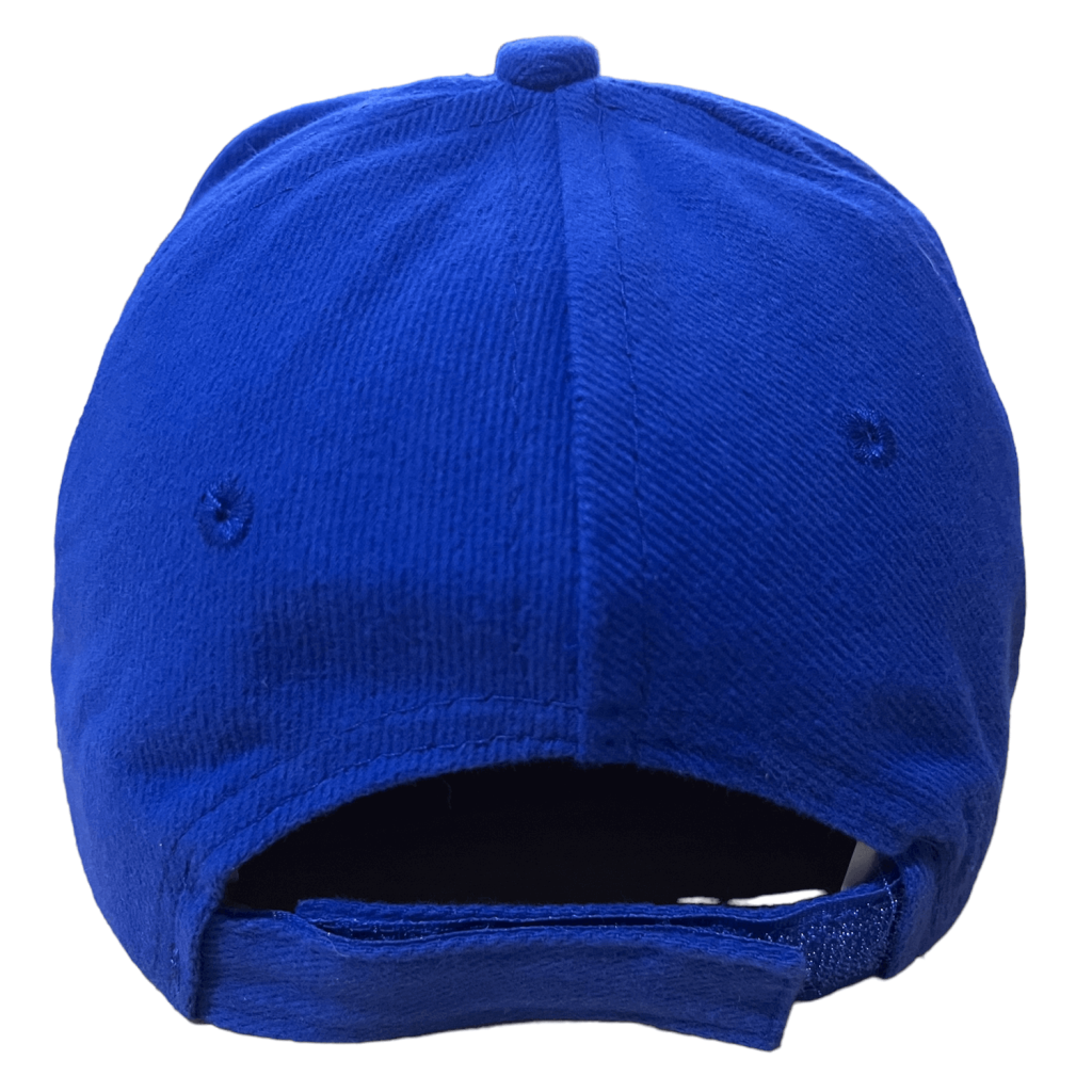 Bonnie Blue Flag Cap - 1 Star for Sale / Texas Star Ballcap