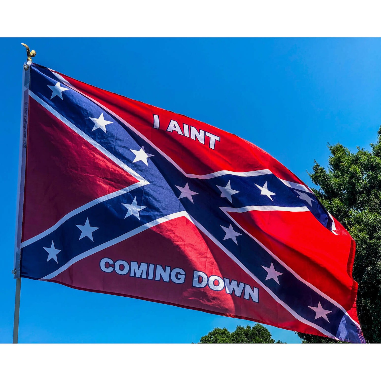 Rebel Lives Matter Flags, Tags, Hats, Mugs, & More - Ultimate Flags