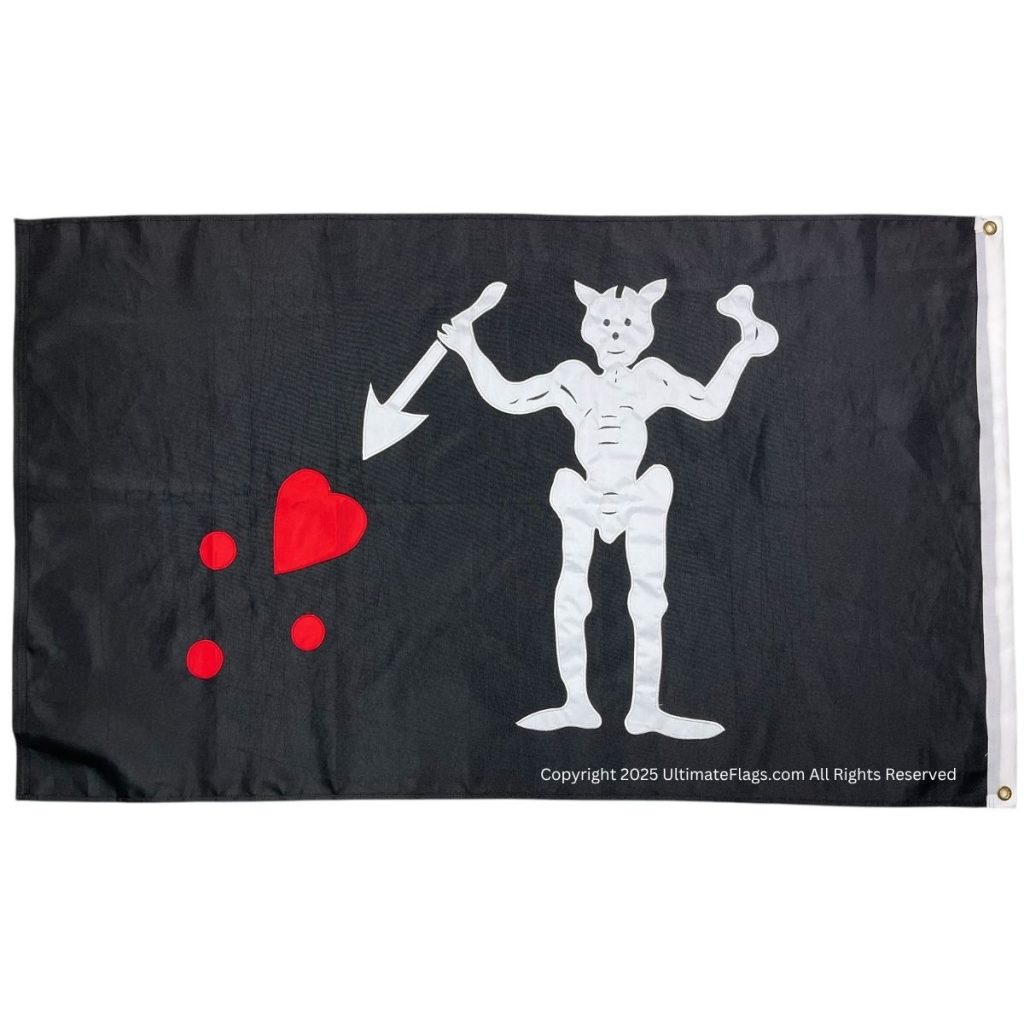 Blackbeard Flag for Sale - Edward Teach Pirate Blackbeard's Flag 3x5 ...