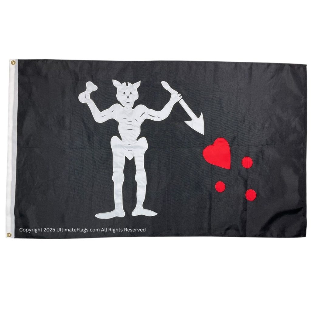 Blackbeard Flag for Sale - Edward Teach Pirate Blackbeard's Flag 3x5 ...