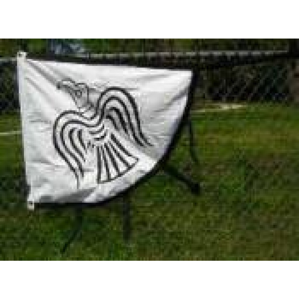 Viking with Raven Flag - Ultimate Flags