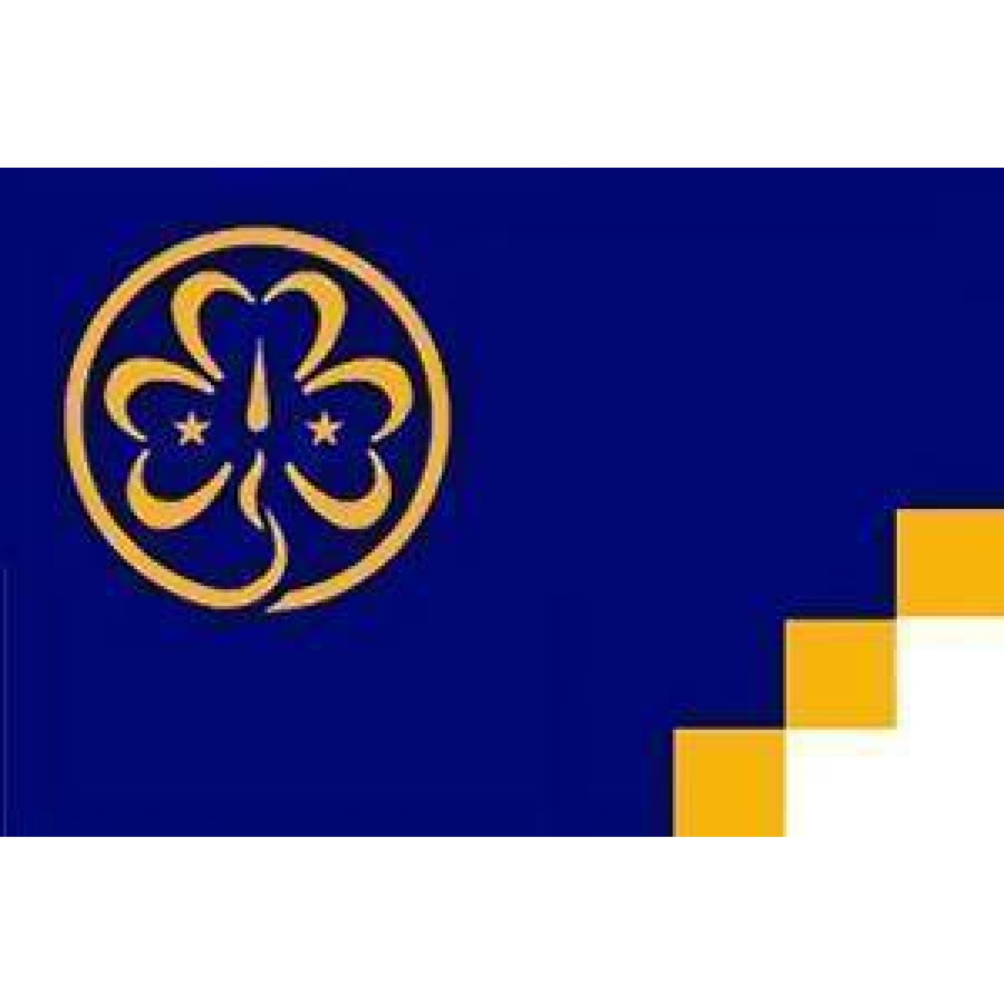 Girl Scouts Flag 3 X 5 ft. Standard - Ultimate Flags