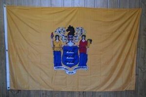 New Jersey Flag / NJ Flags Nylon Printed 3 x 5 - Ultimate Flags