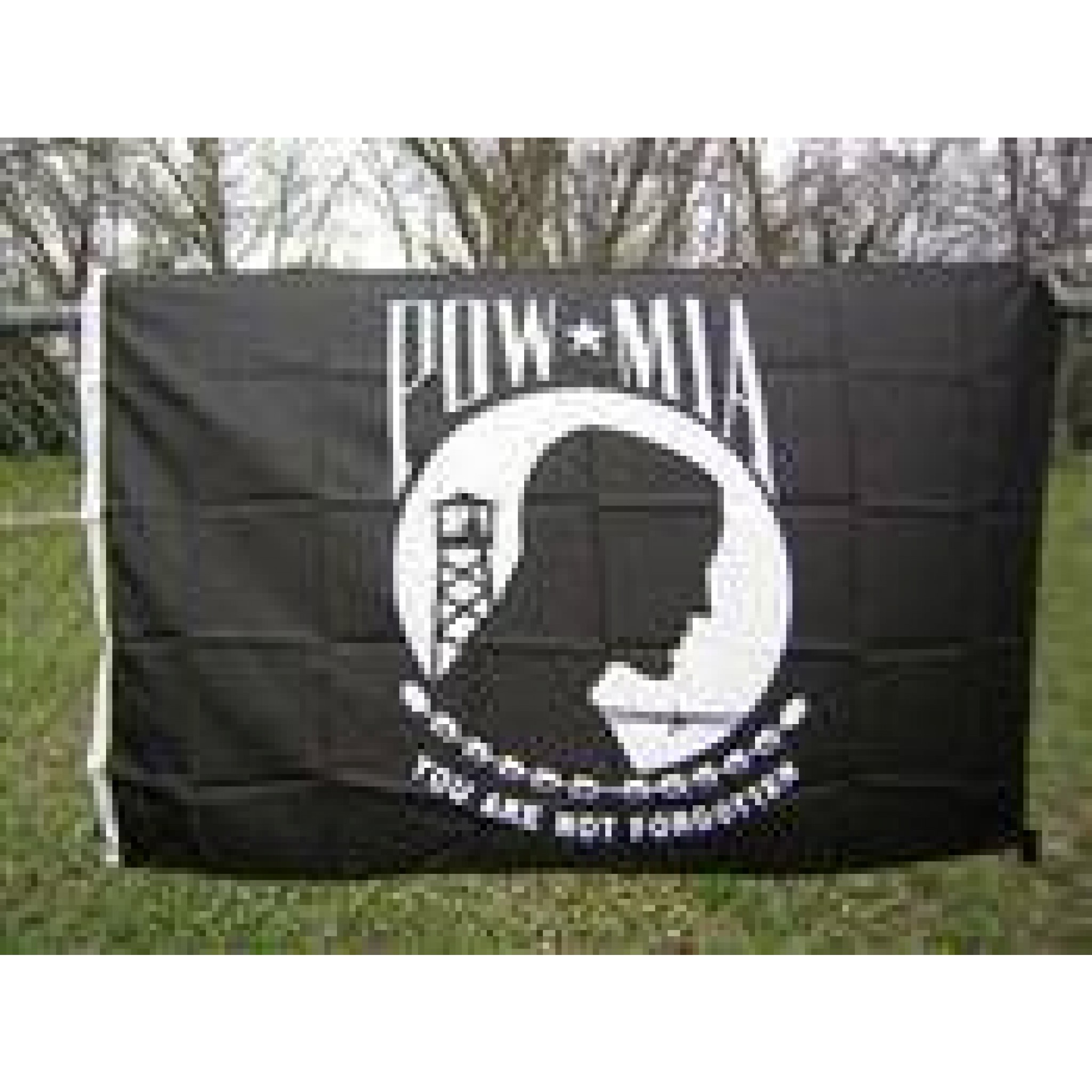 Buy Flag POW/MIA Flag Prisoner of War, Missing in Action 6 x 9 Inch ...