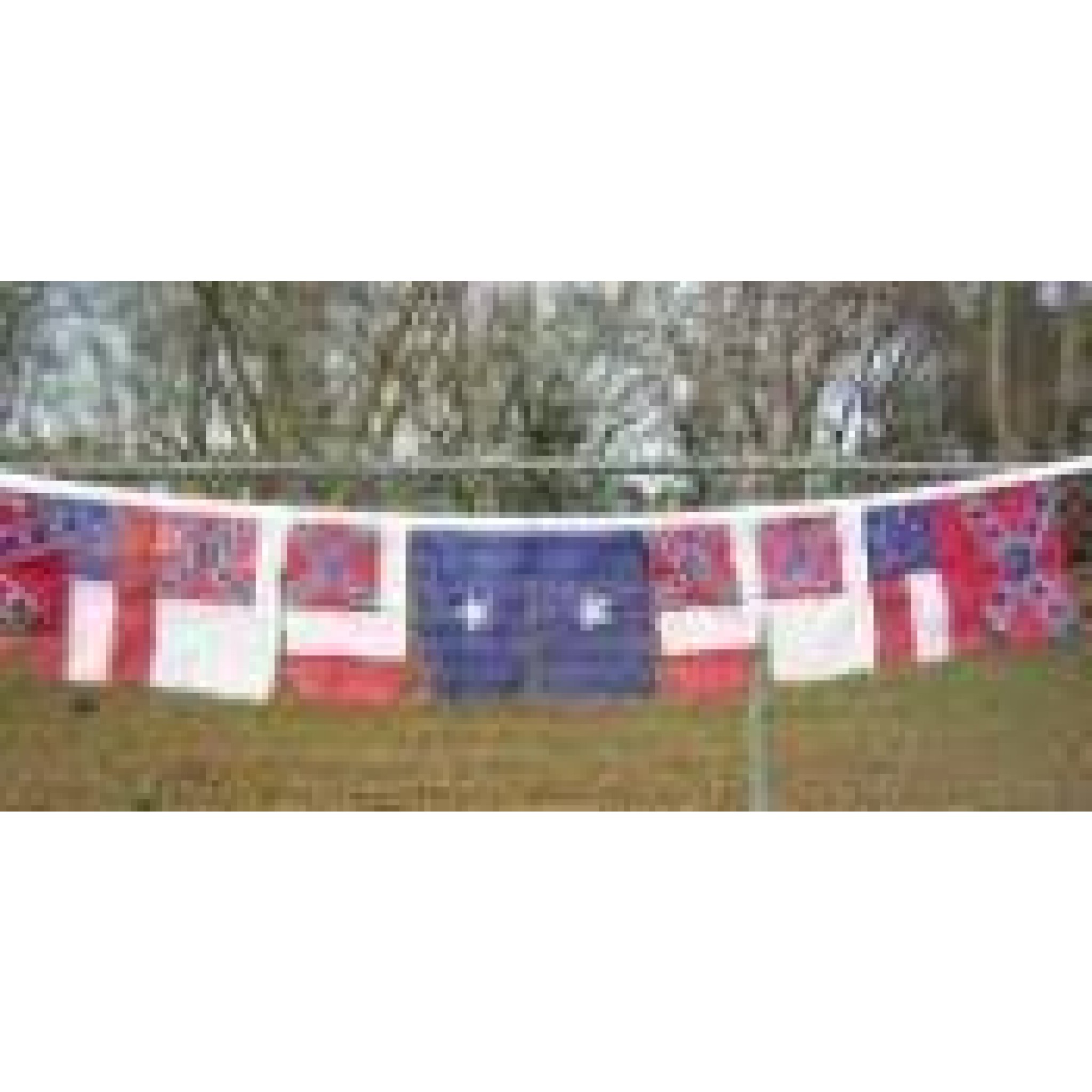 CSA String Flags - Confederate States of America Party Flag Set -12 x 18"