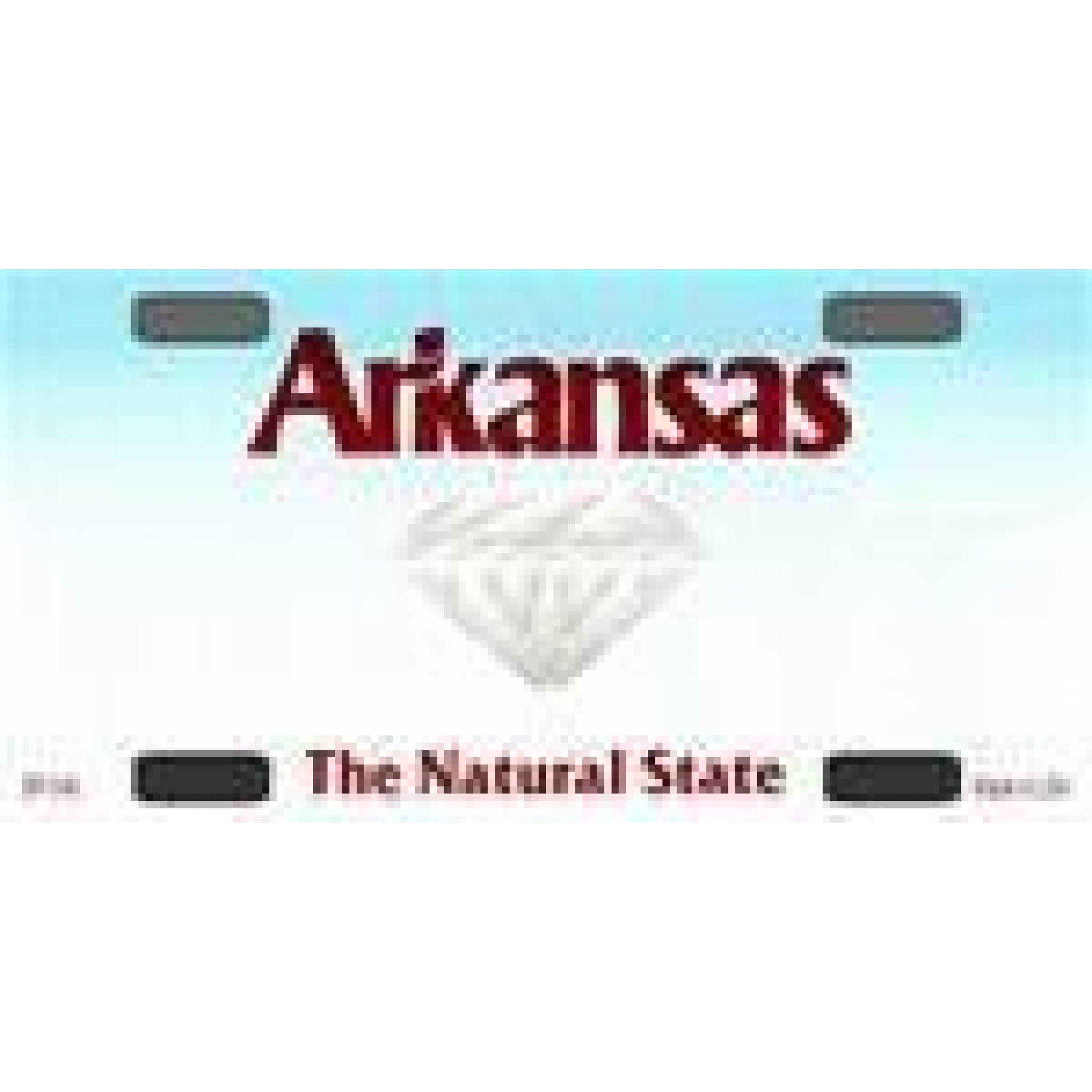 Arkansas State Blank Bike Plates