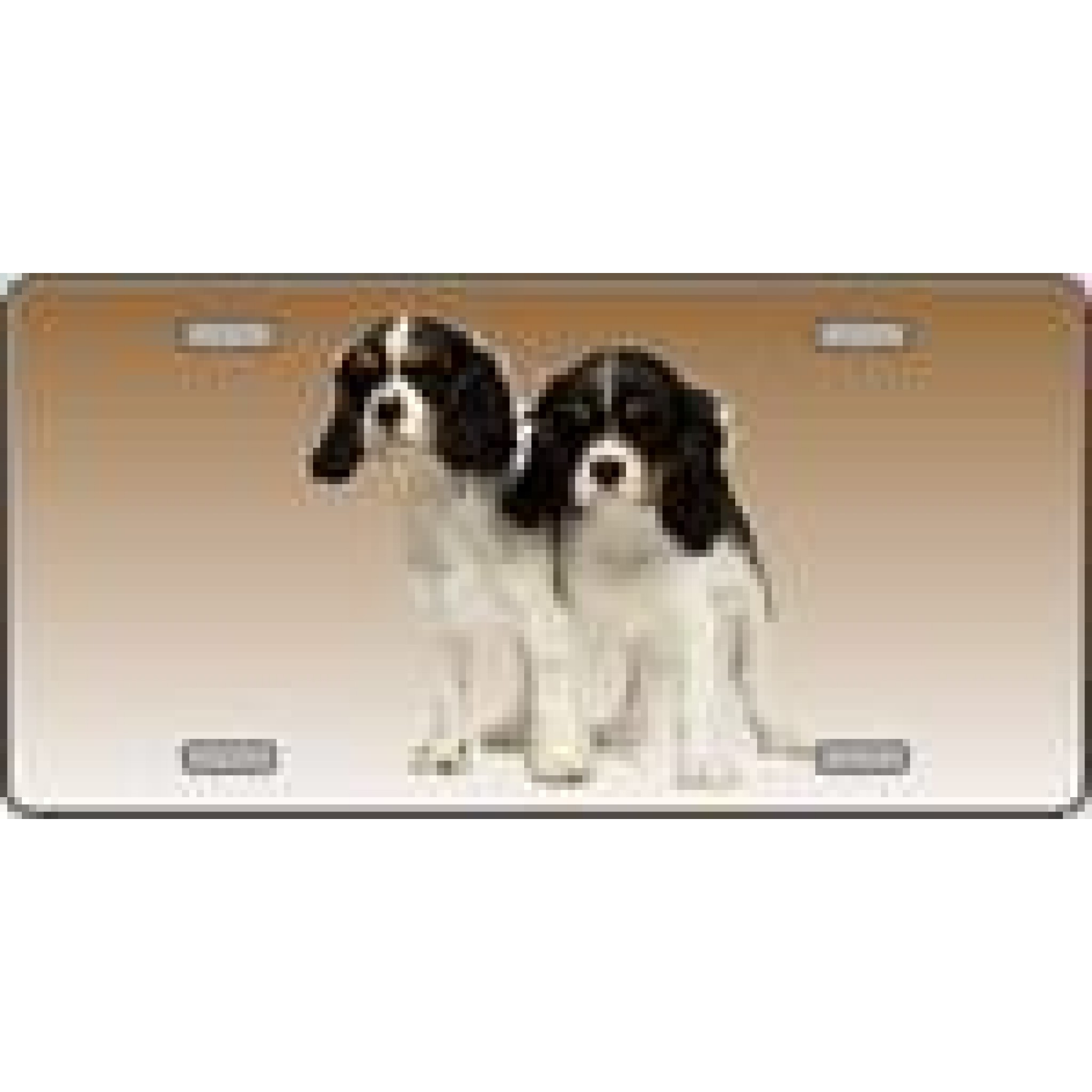 Cavalier King Charles Spaniel Dog License Plate