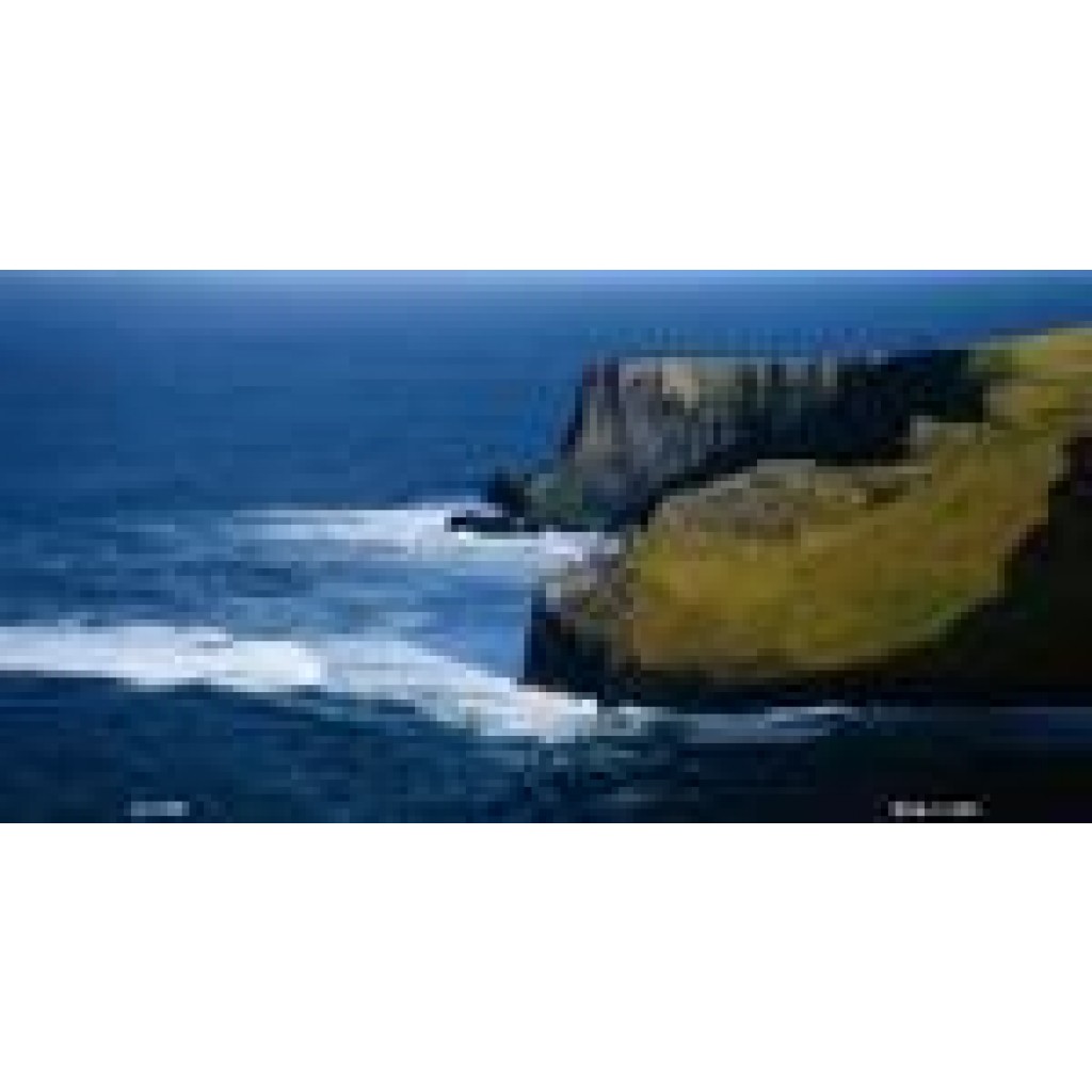 Ocean Sea License Plate