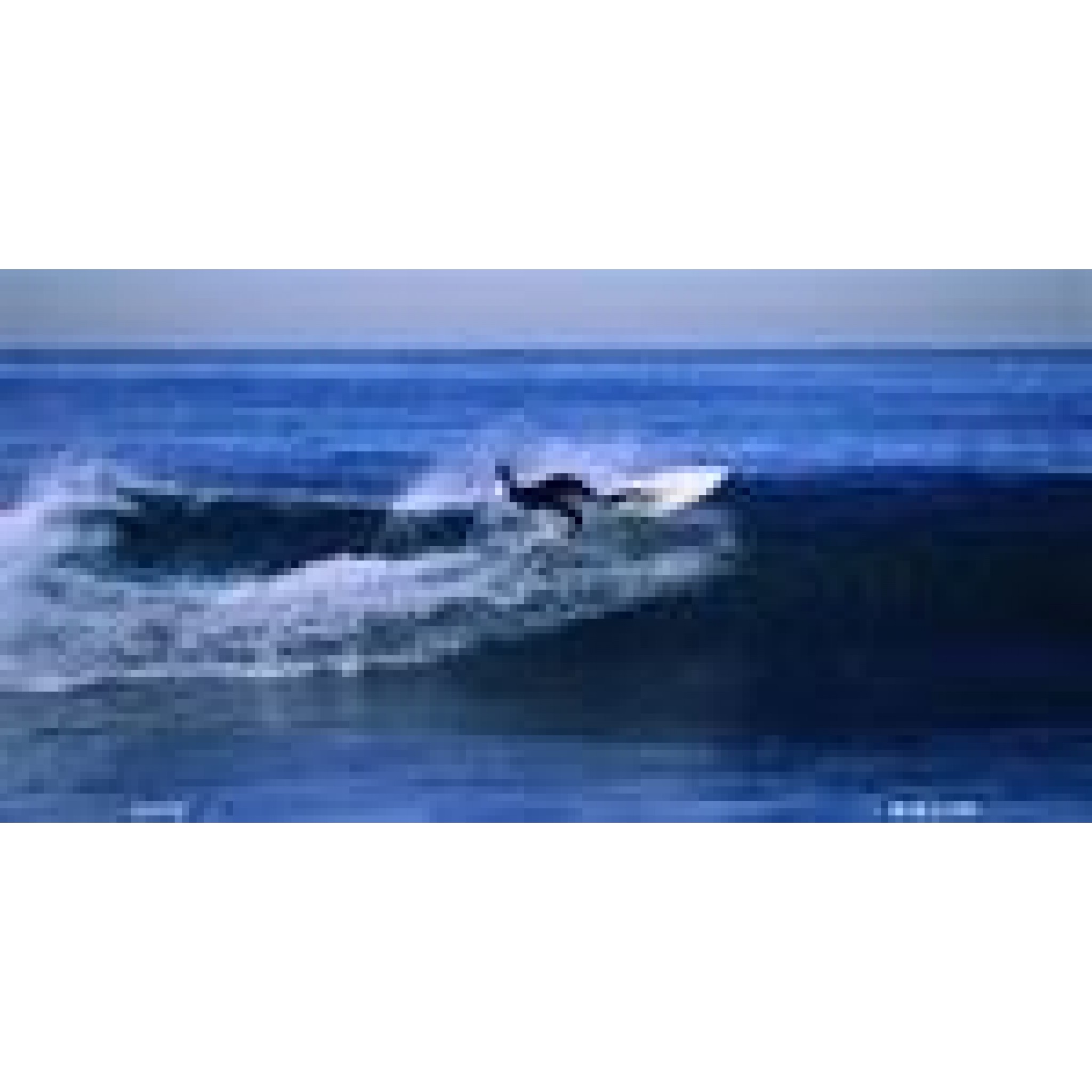 Surfing On The Waves License Plate