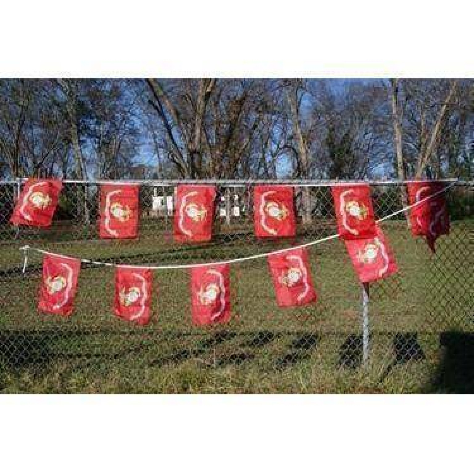 String Flags - Ultimate Flags
