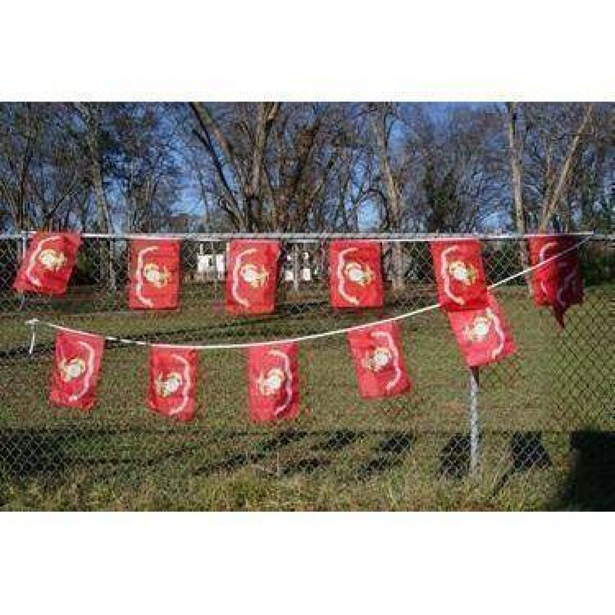String Flags - Ultimate Flags