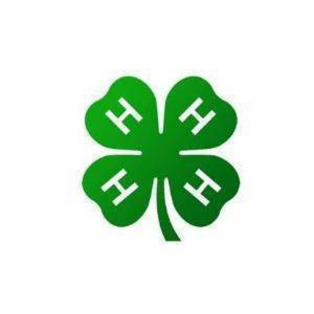 4-H Flag 3 X 5 ft. Standard - Ultimate Flags