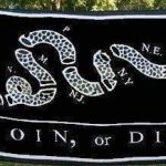 Join Or Die Flag Black Revolutionary War 3 X 5 ft. Standard - Ultimate ...